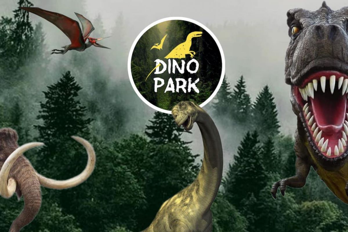 Dino Park Zakopane - plac zabaw dla dzieci - Zakopane - Atrakcje ...